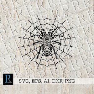 Zentangle Spider Web SVG File, Mandala Tarantula SVG Cut File, Spider ...