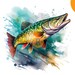 Pike Fish Watercolor PNG, Pike Clipart, Sublimation Fishing, Fishing ...
