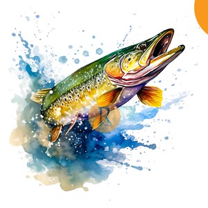 Pike Fish Watercolor PNG, Pike Clipart, Sublimation Fishing, Fishing ...