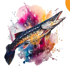 Pike Fish Watercolor PNG, Pike Clipart, Sublimation Fishing, Fishing ...