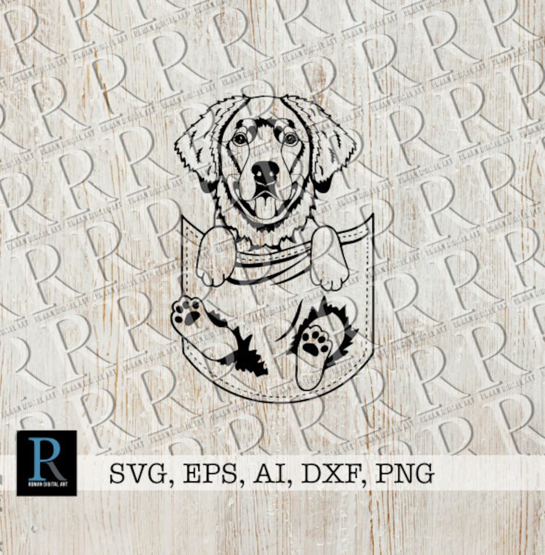 Labrador Puppy SVG File, Golden Retriever Cut File, Labrador in Pocket ...