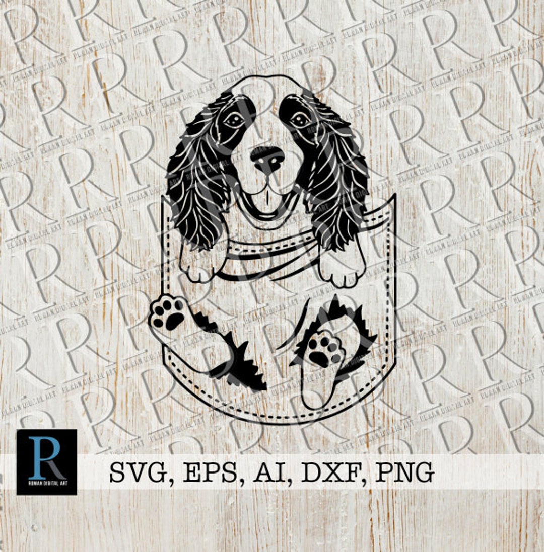 Springer Spaniel, Springer Spaniel SVG, Springer Spaniel in the Pocket ...