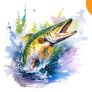 Pike Fish Watercolor PNG, Pike Clipart, Sublimation Fishing, Fishing ...