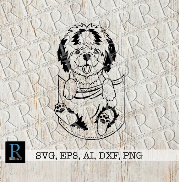 English Sheepdog SVG File English Sheepdog in pocket English | Etsy