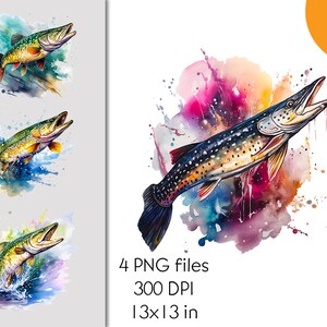 Pike Fish Watercolor PNG, Pike Clipart, Sublimation Fishing, Fishing ...