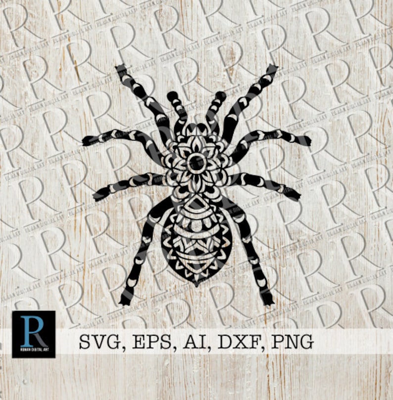 Zentangle Tarantula Spider SVG Mandala Tarantula SVG | Etsy