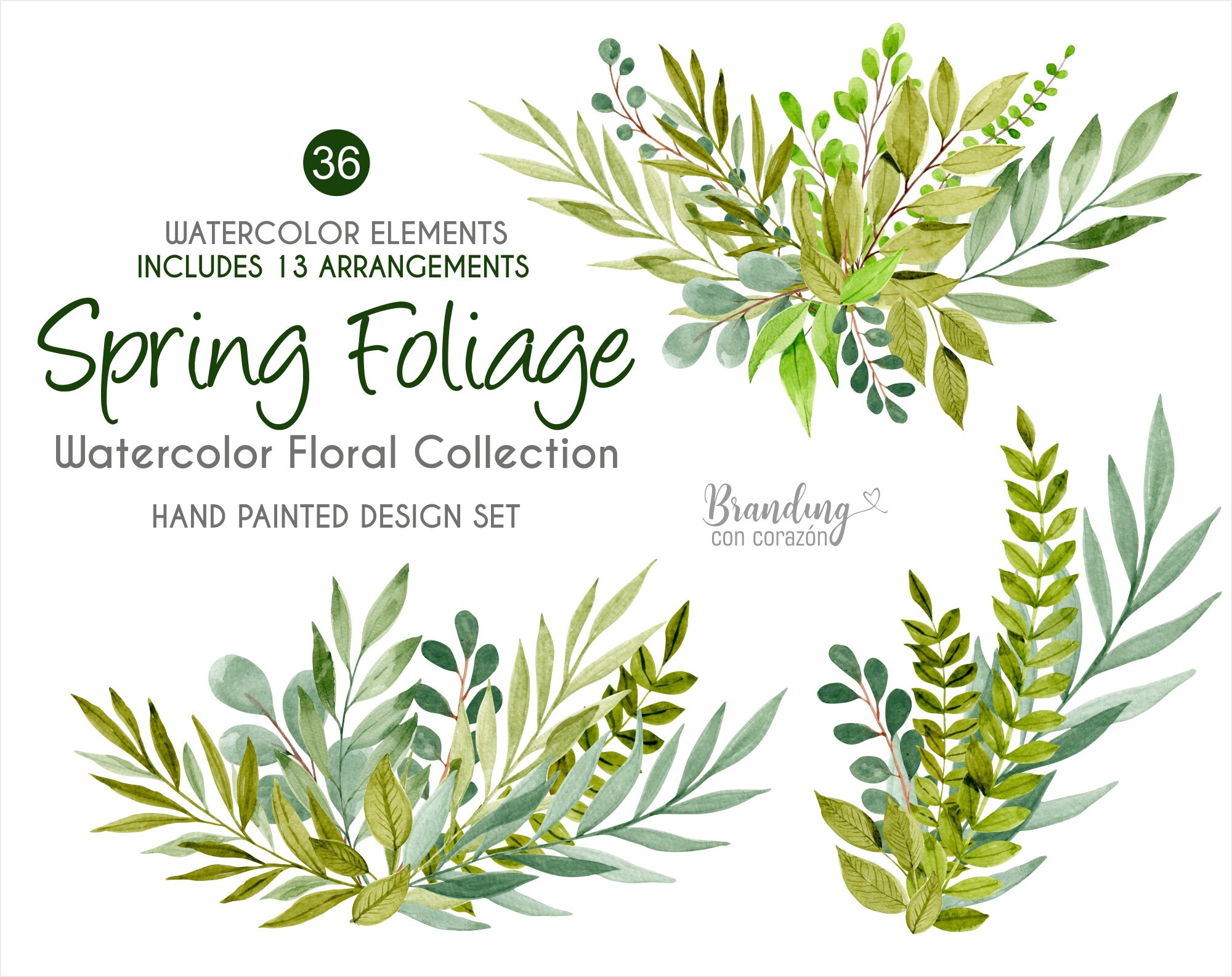 Foliage Branches and Watercolor Leaves. Clip Art and Png - Etsy