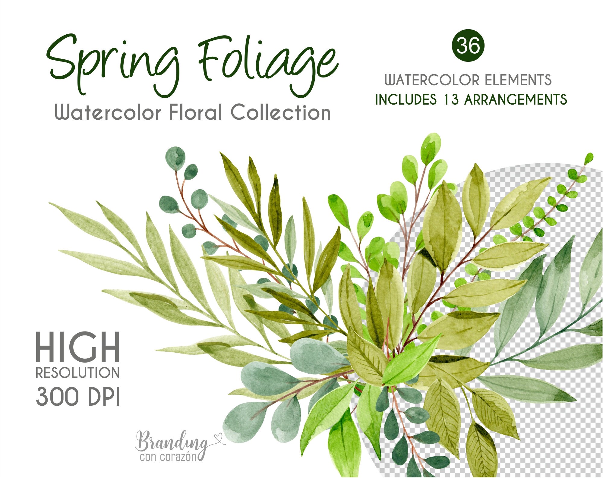 Foliage Branches and Watercolor Leaves. Clip Art and Png - Etsy