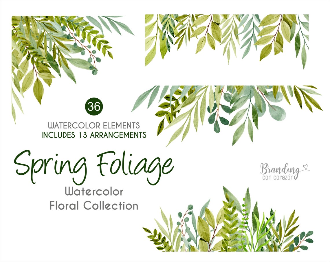 Foliage Branches and Watercolor Leaves. Clip Art and Png - Etsy