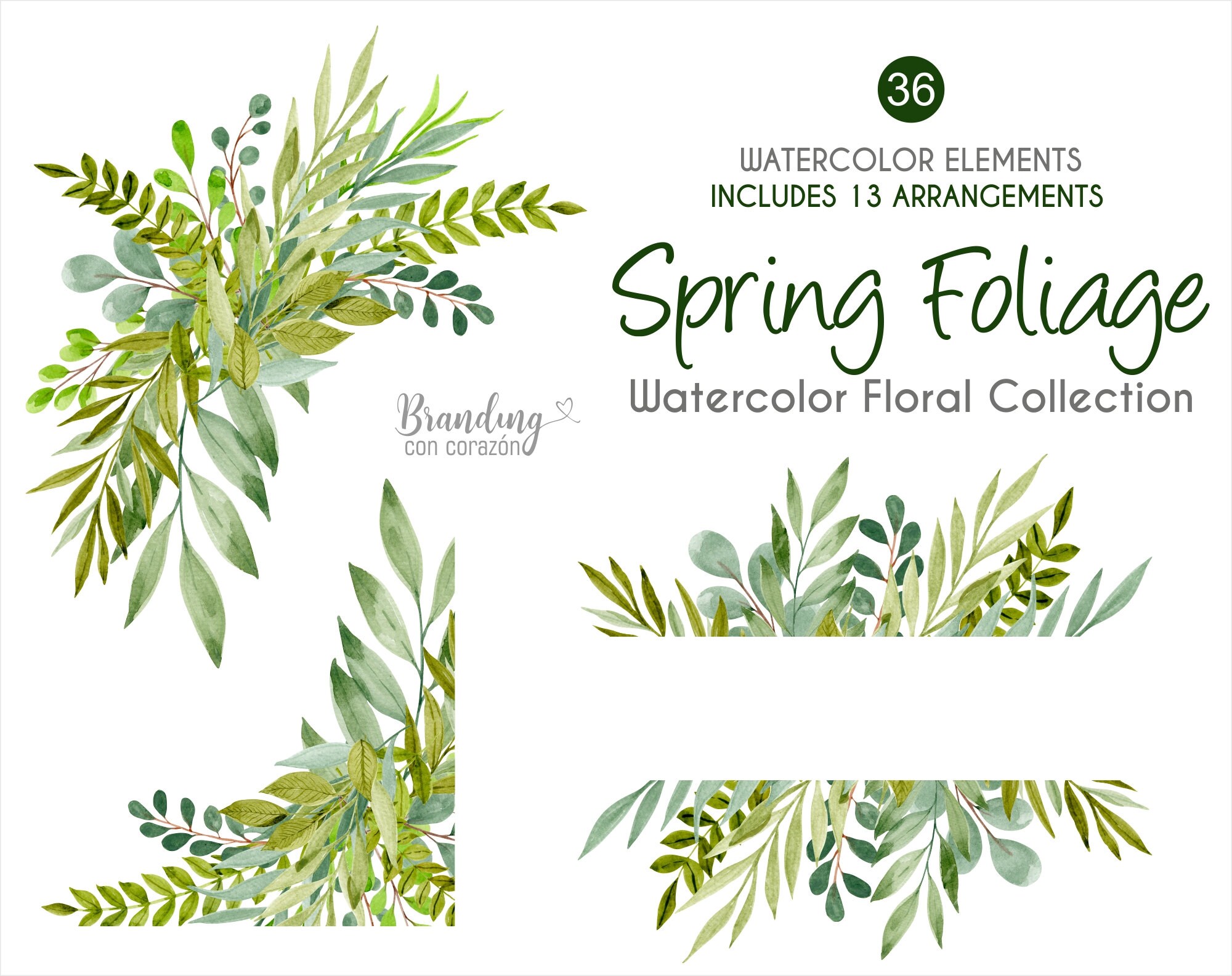 Foliage Branches and Watercolor Leaves. Clip Art and Png - Etsy
