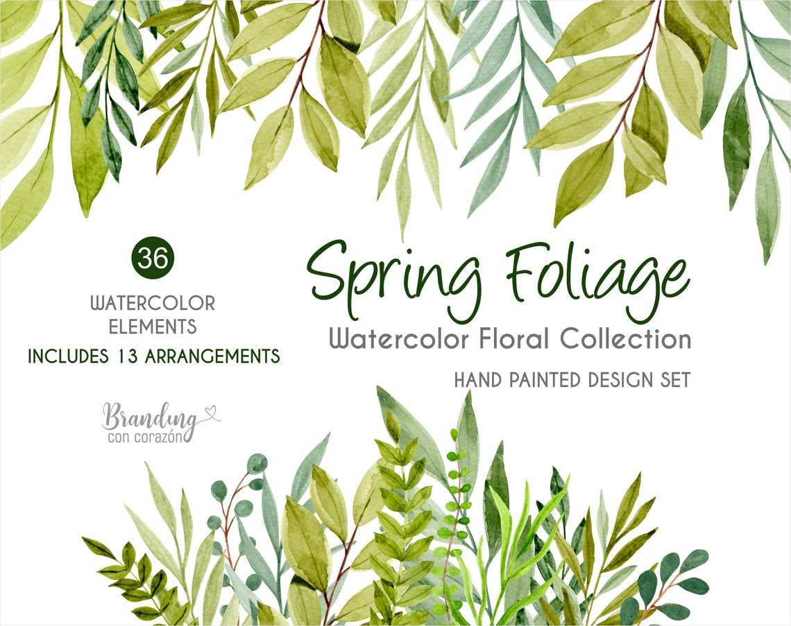 Foliage Branches and Watercolor Leaves. Clip Art and Png - Etsy