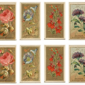 Floral Memory Card Game Printable Flower Cards Antique Flower Art ...