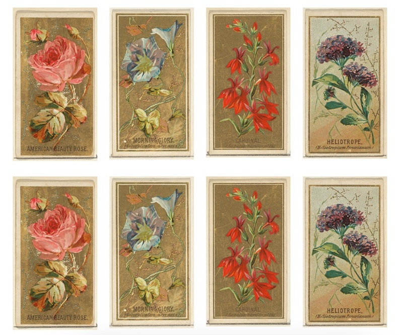 Floral Memory Card Game Printable Flower Cards Antique Flower Art ...