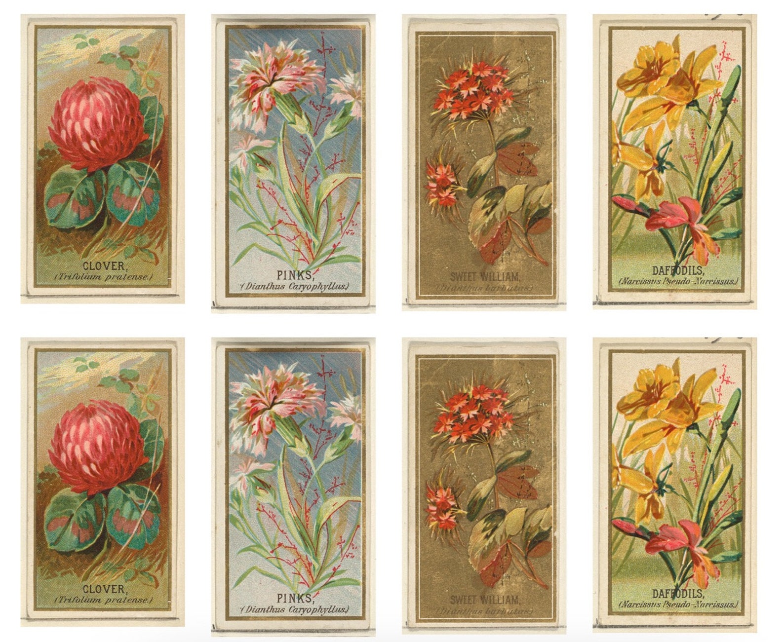 Floral Memory Card Game Printable Flower Cards Antique Flower Art ...
