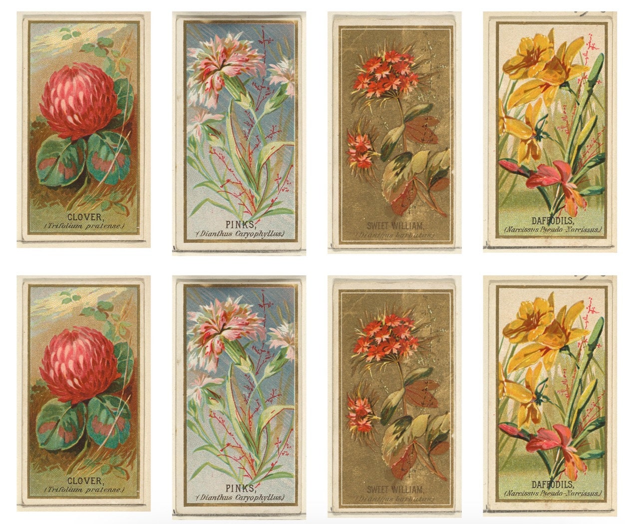Floral Memory Card Game Printable Flower Cards Antique Flower Art ...