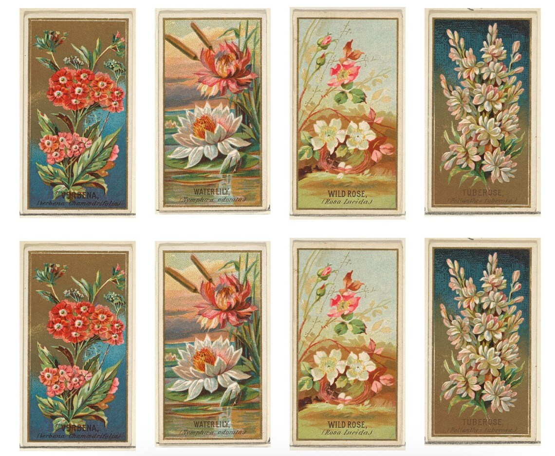 Floral Memory Card Game Printable Flower Cards Antique Flower Art ...