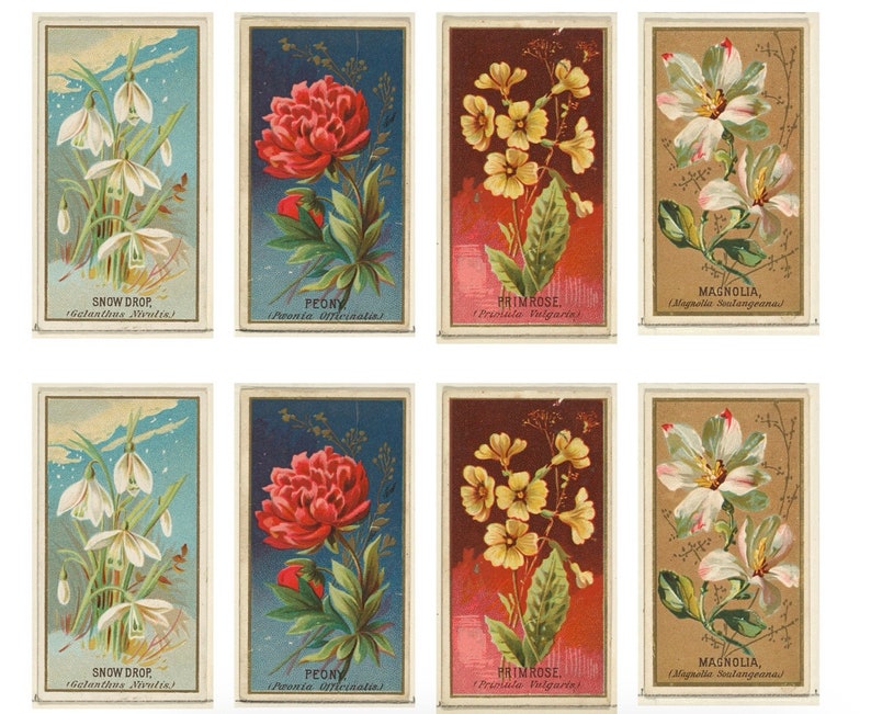 Floral Memory Card Game Printable Flower Cards Antique Flower Art ...