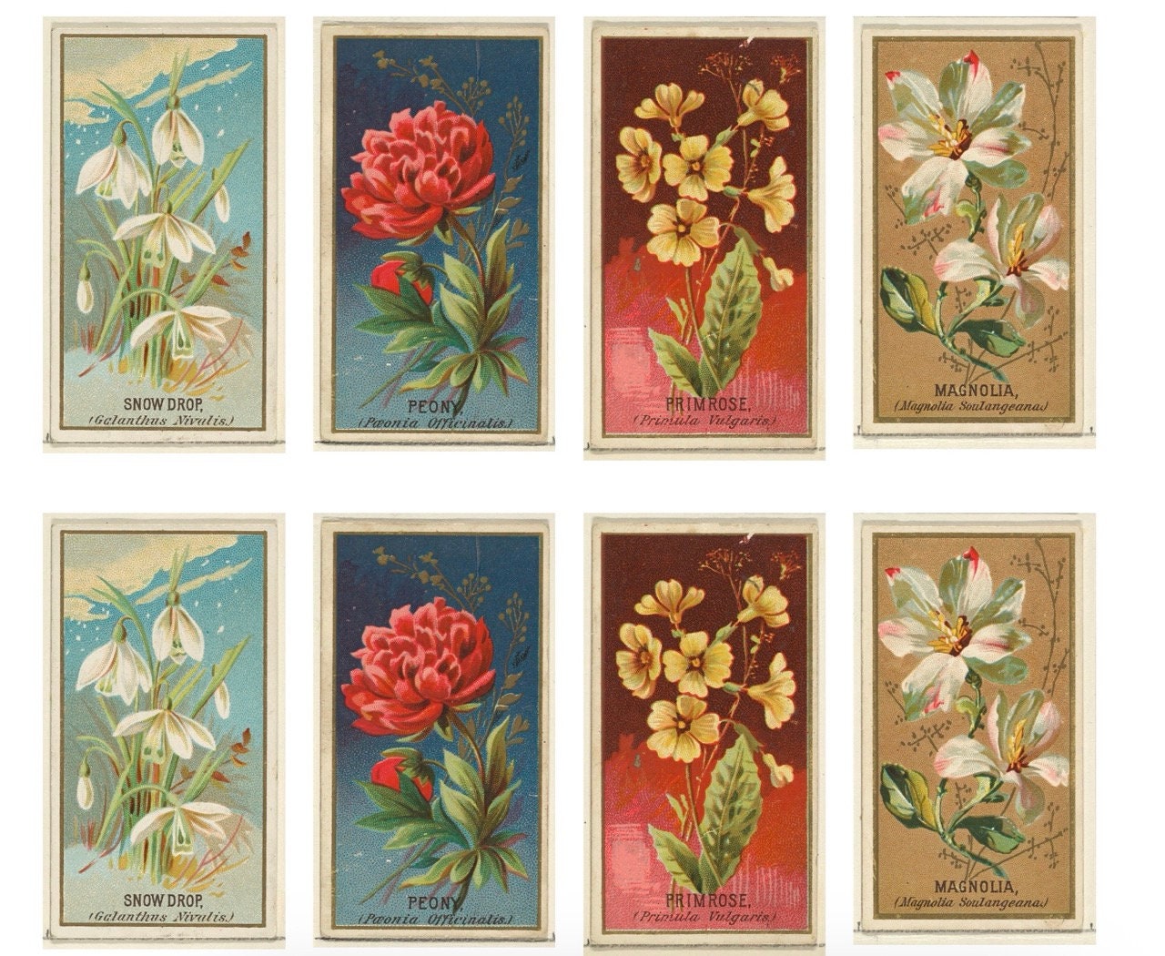 Floral Memory Card Game Printable Flower Cards Antique Flower Art