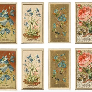 Floral Memory Card Game Printable Flower Cards Antique Flower Art ...