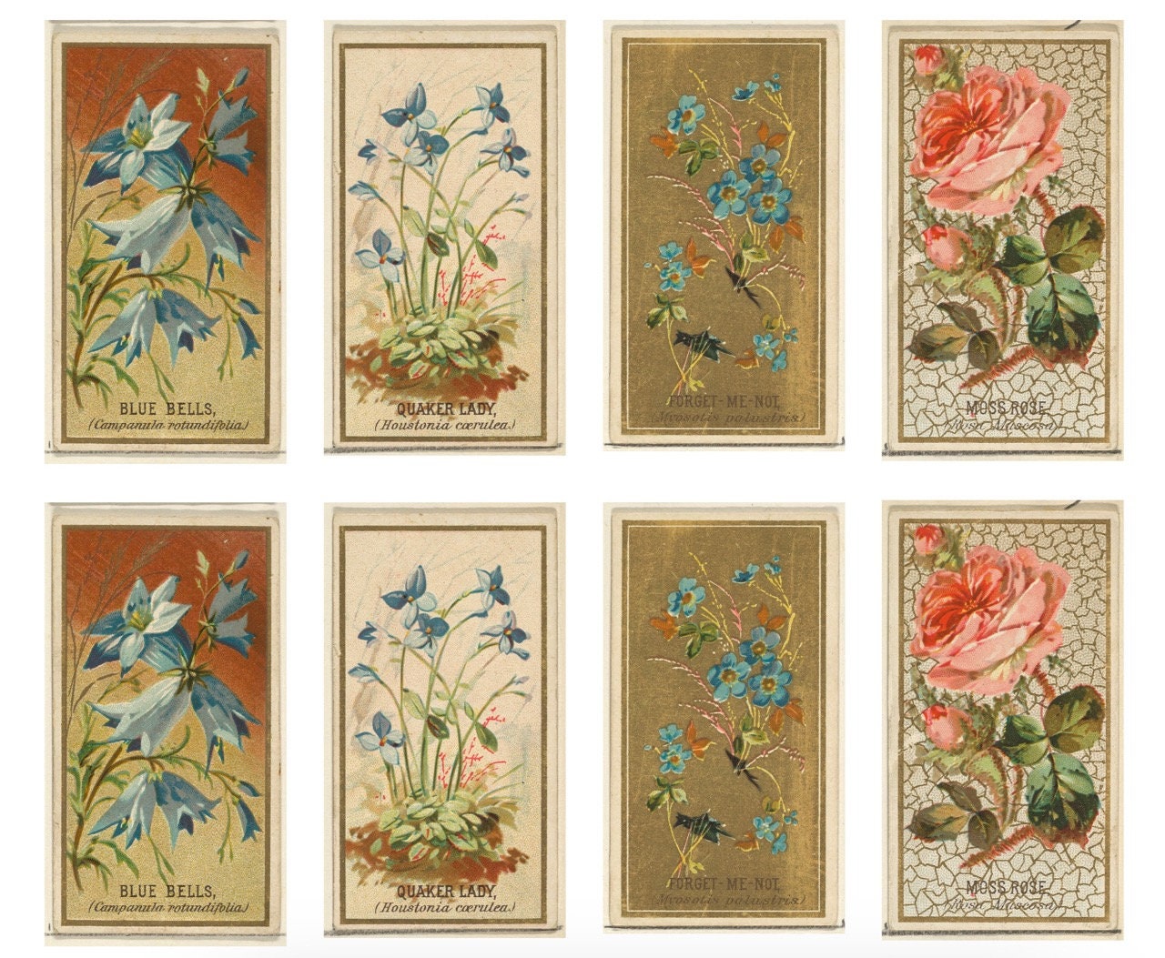 Floral Memory Card Game Printable Flower Cards Antique Flower Art ...