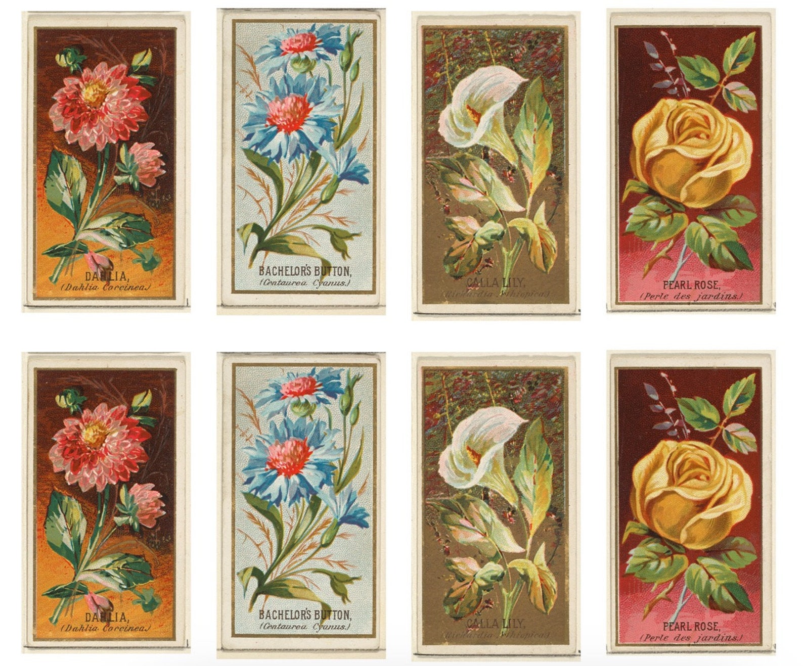 Floral Memory Card Game Printable Flower Cards Antique Flower Art ...