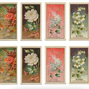 Floral Memory Card Game Printable Flower Cards Antique Flower Art ...