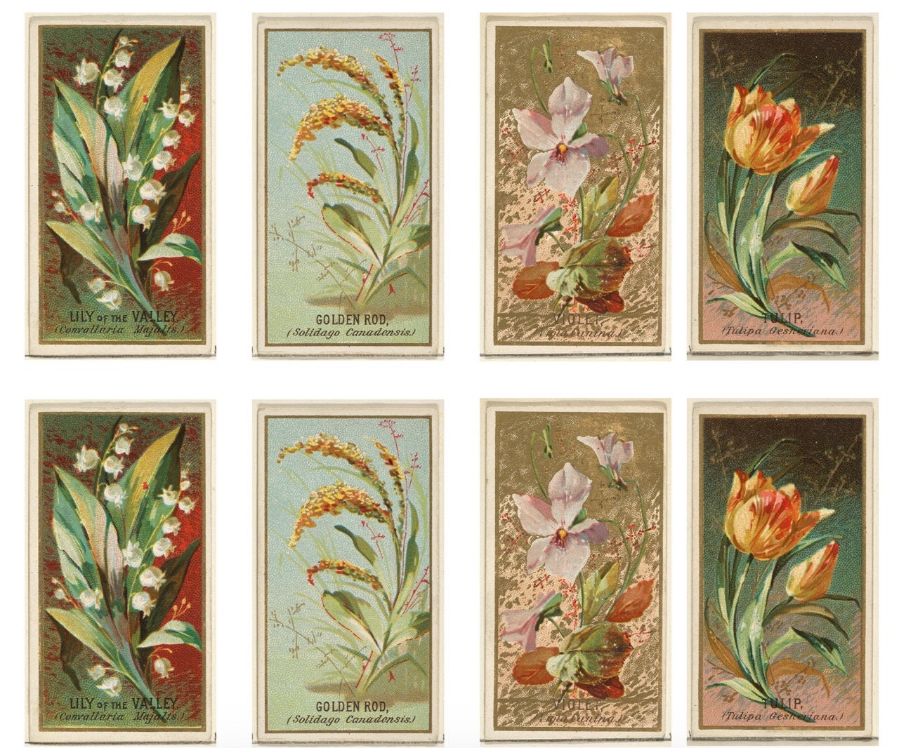 Floral Memory Card Game Printable Flower Cards Antique Flower Art ...