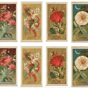 Floral Memory Card Game Printable Flower Cards Antique Flower Art ...