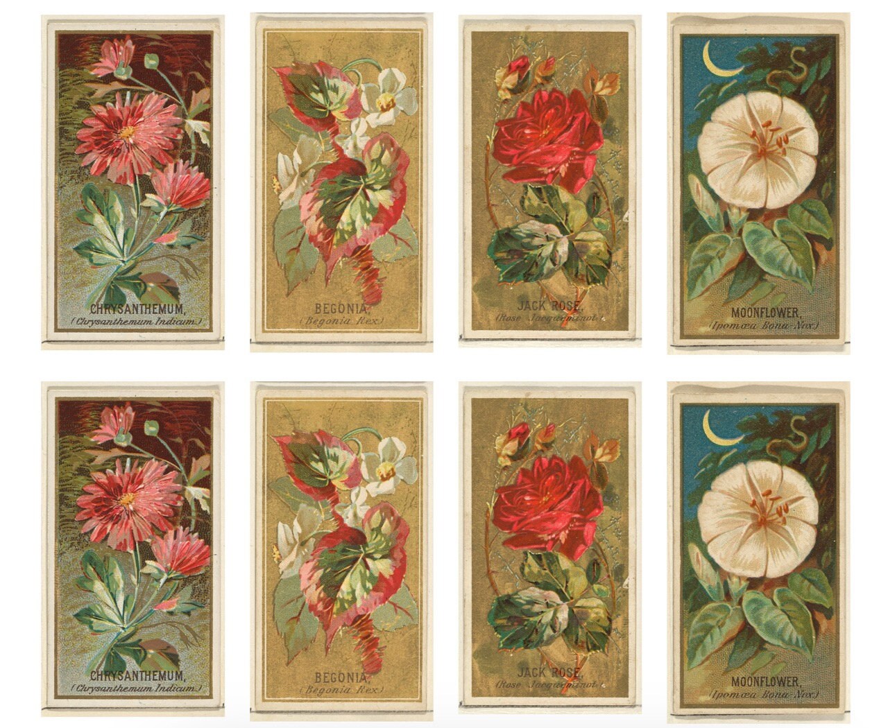 Floral Memory Card Game Printable Flower Cards Antique Flower Art ...