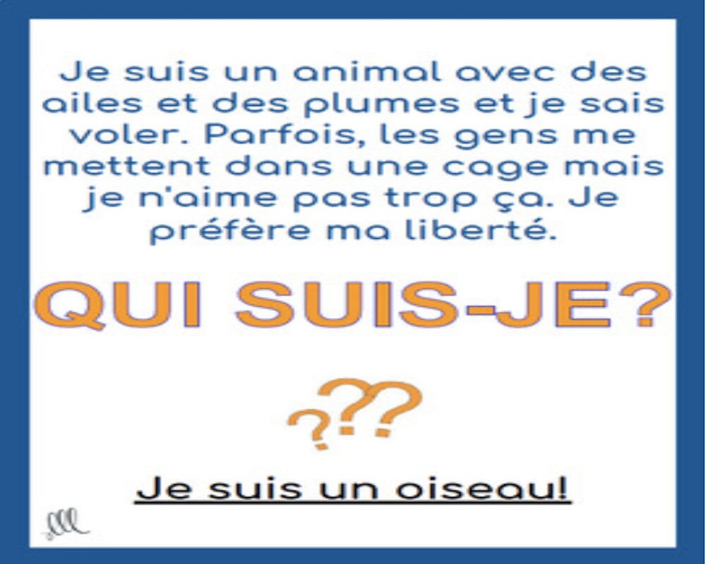 Qui Suis-je Interactive Activity for Advanced Secondary - Etsy