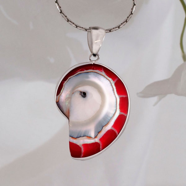 Nautilus Shell - Etsy