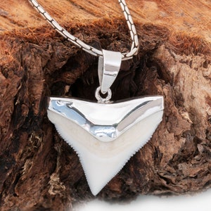 925 Silver Pendant Shark Tooth Genuine Shark Teeth Surfer Necklace ...