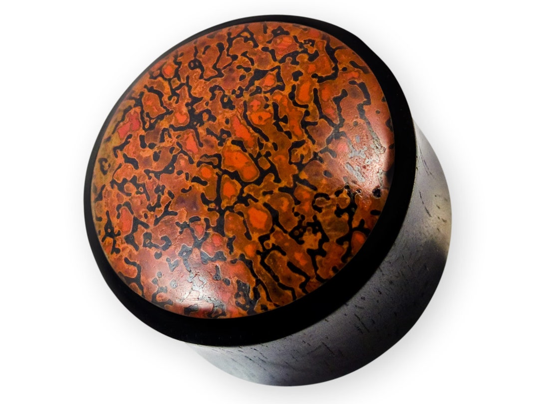Wood Ear Plug With Real Dinosaur Bone Inlay Fossil Flesh Tunnel Red ...