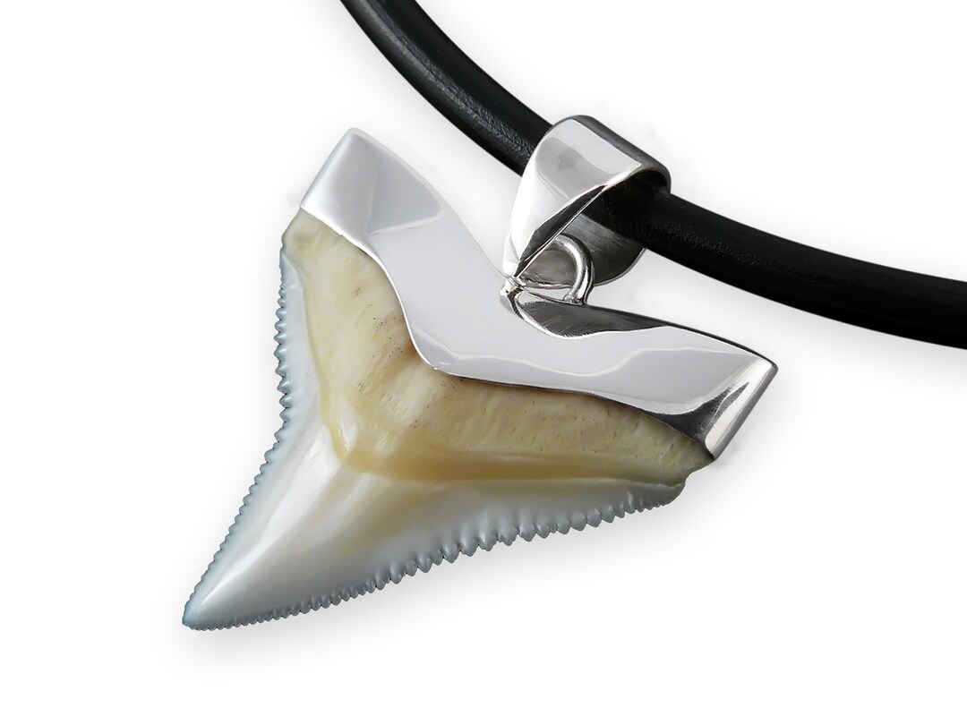 925 Silver Pendant Shark Tooth Genuine Shark Teeth Surfer Necklace ...