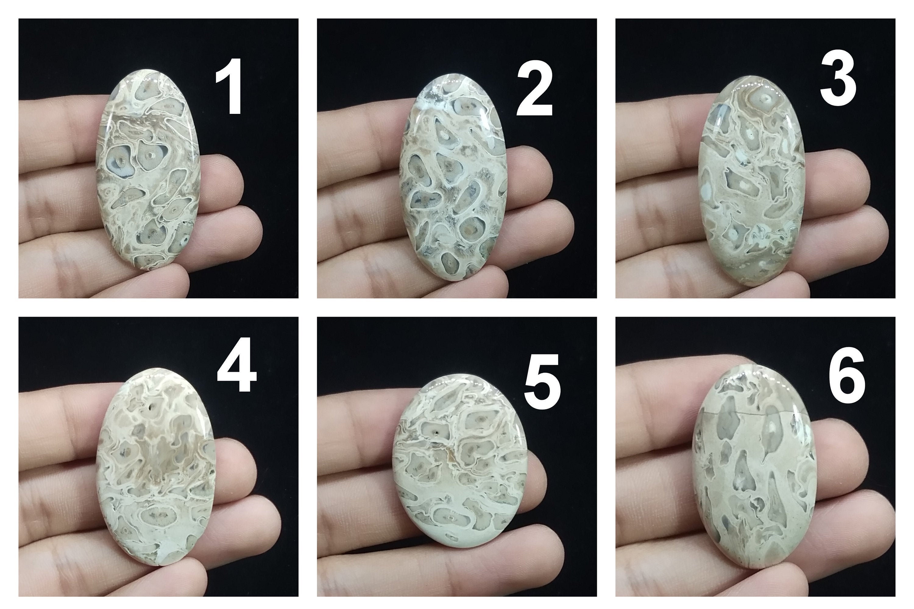 Natural Fossil Palm Root Agate/fossil Wood/fossil Palm Wood Oval ...