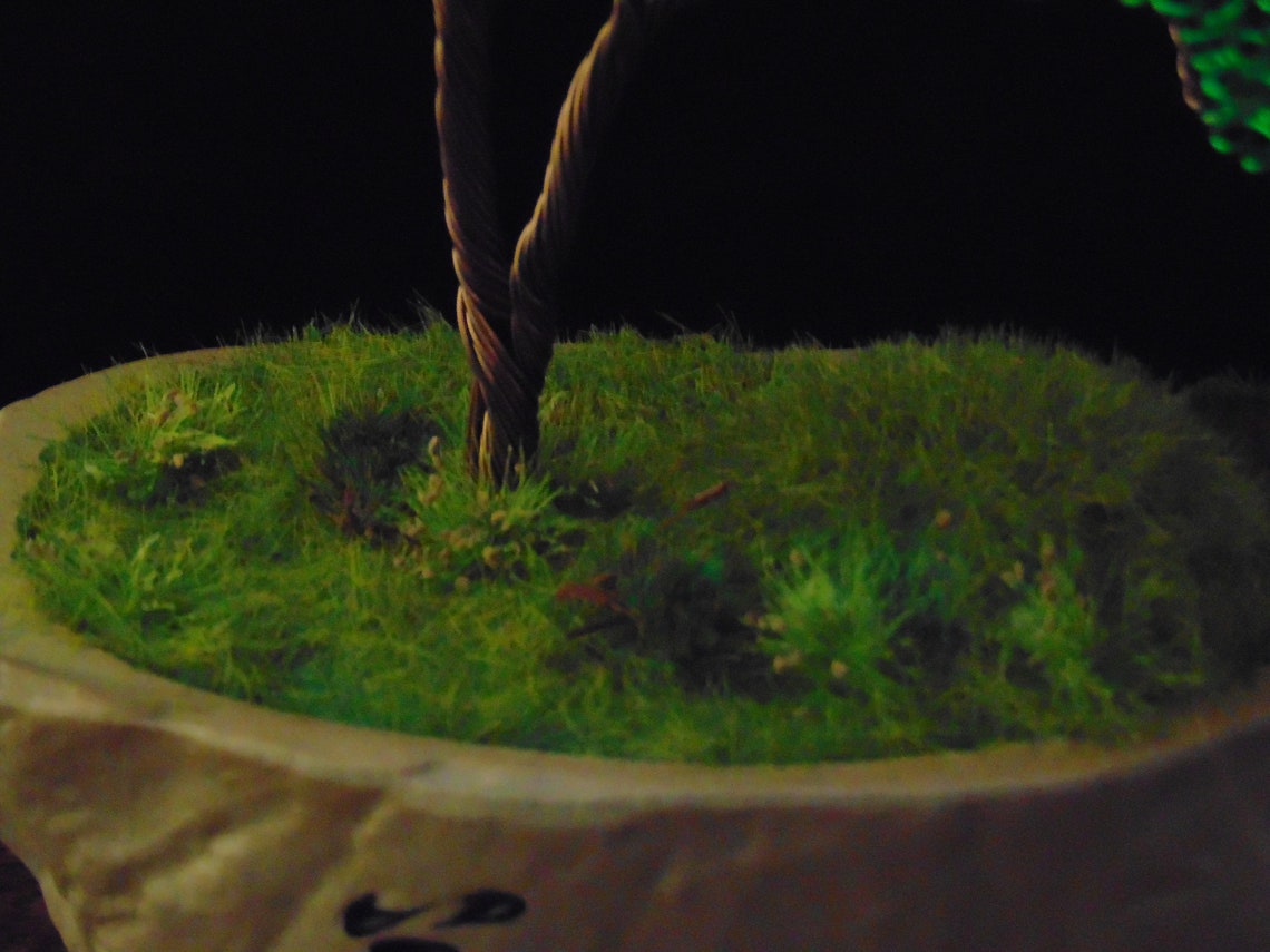 Drahtbaum, Wire Tree, Bonsai, Drahtkunst, Dekoration - Etsy.de