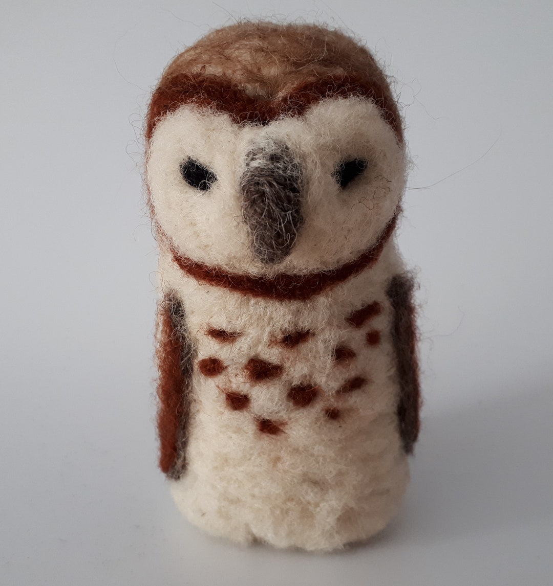 Needle Felted Barn Owl - DIY Kit for Beginners - Etsy