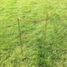 Rusty Peony Cage - Plant Support - in 2 Sizes- Raw Steel Designed to ...