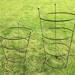 Rusty Peony Cage - Plant Support - in 2 Sizes- Raw Steel Designed to ...
