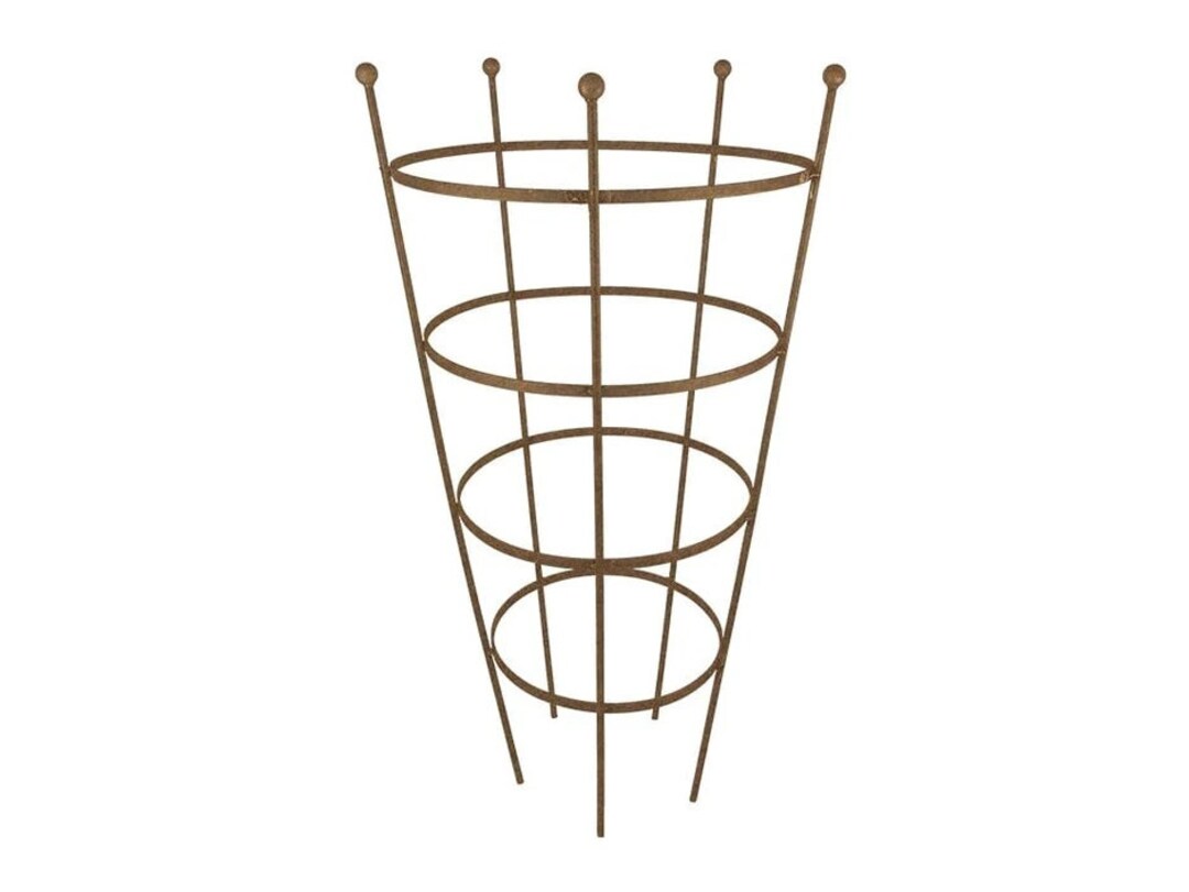Extra Heavy Duty Rusty Peony Cage Plant Support - 5 Single Legs- Raw ...