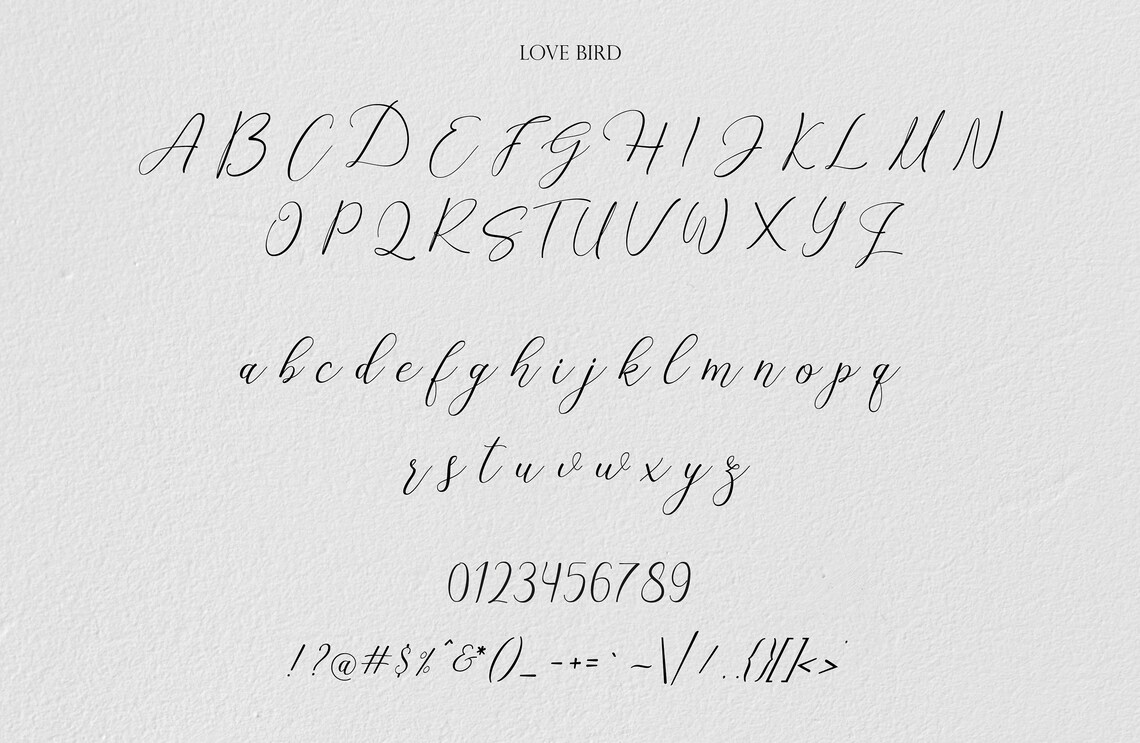 Calligraphy Font Digital Font Font Download Handwritten - Etsy