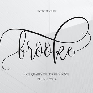 Calligraphy Font Set: 5 Modern Script Fonts (digital Download) - Etsy