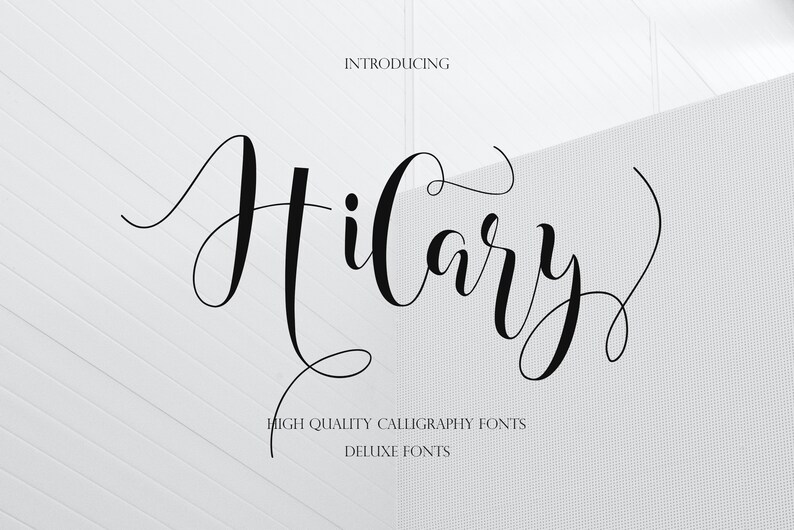 Calligraphy Font Set: 5 Modern Script Fonts (digital Download) - Etsy