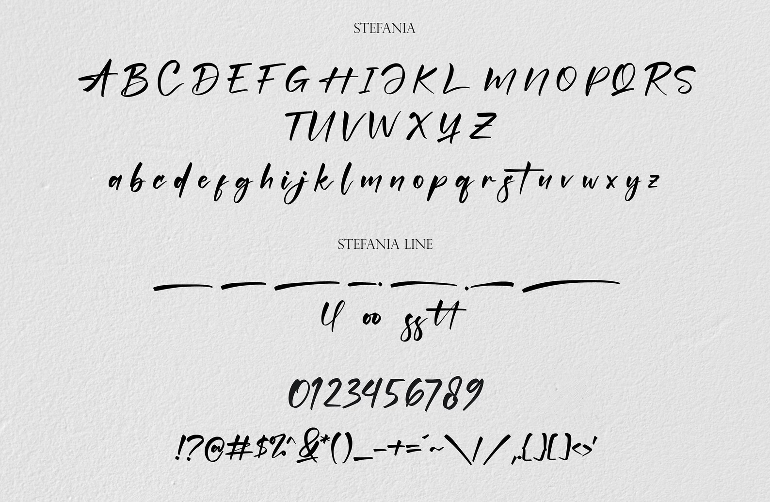 Modern Font, Script Font, Fonts for Cricut, Handwriting Font, Logo Font ...