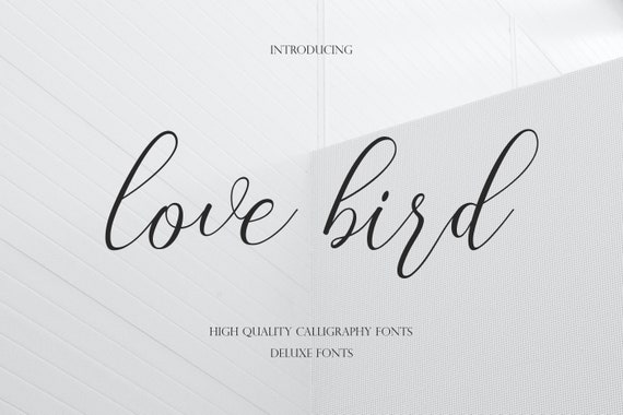 Calligraphy Font Digital Font Font Download Handwritten - Etsy