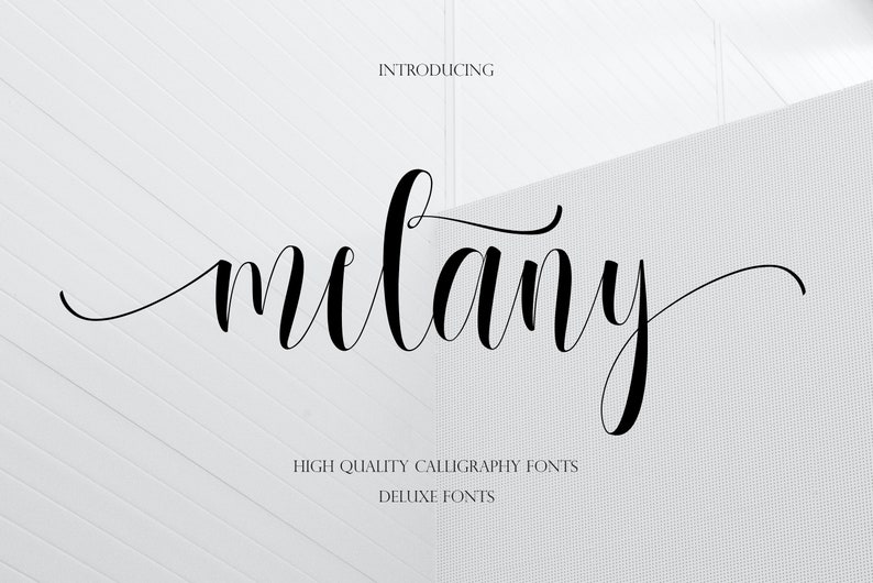 Calligraphy Font Set: 5 Modern Script Fonts (digital Download) - Etsy