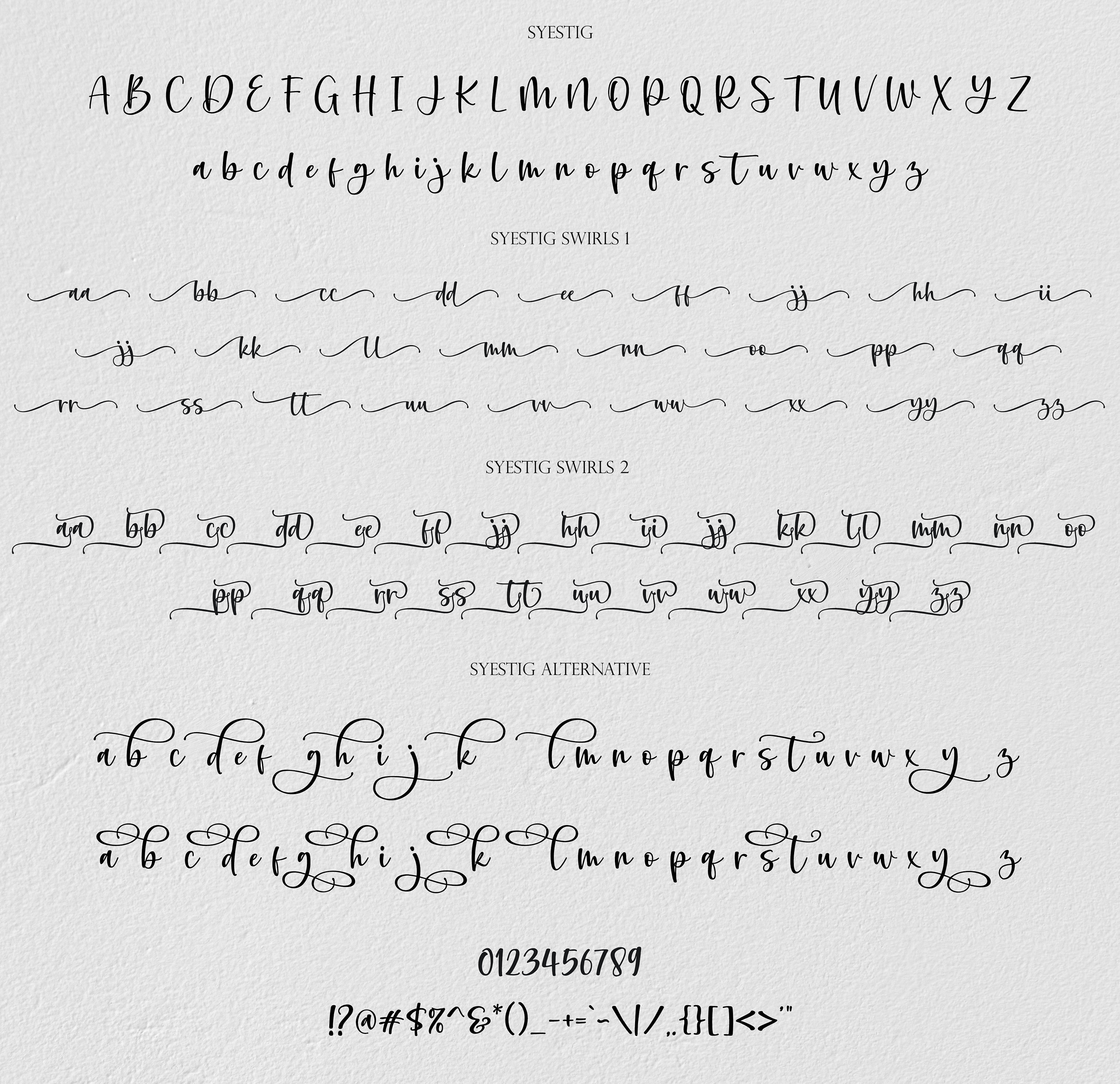 Syestig Calligraphy Font: Feminine Script With Tails (digital Download ...