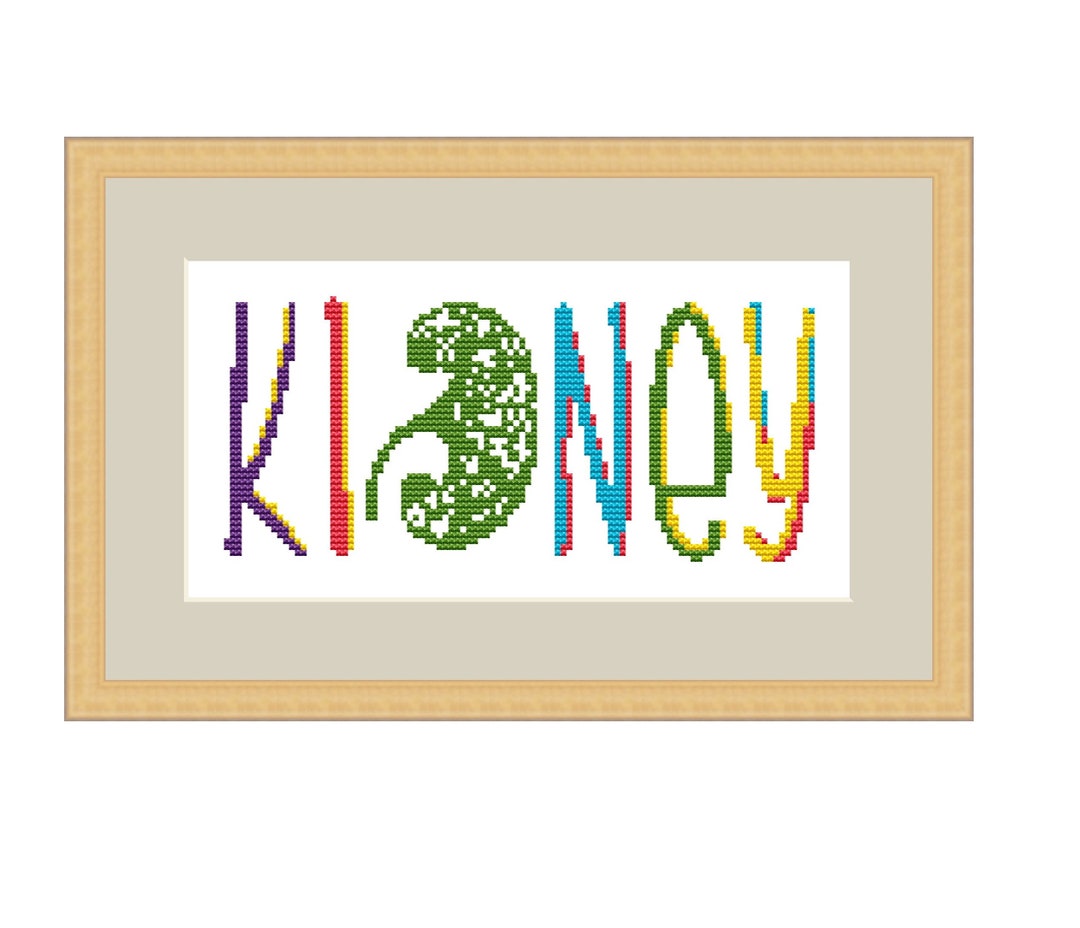 Simple Kidney Cross Stitch Pattern Fun DIY Embroidery Gift Idea Doctor ...
