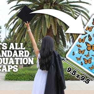 Immigrant Grad Cap Design | CARDSTOCK Graduation Cap Design | Monarch ...