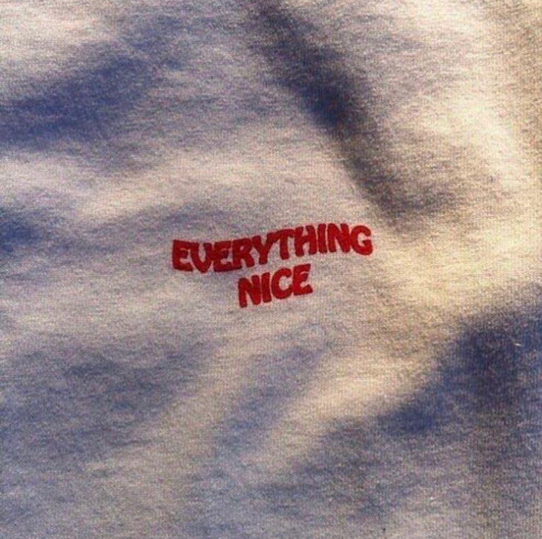 Everything Nice T-shirt - Etsy